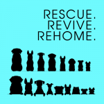 100 Plus Abandoned Dogs of Everglades Florida Rescue